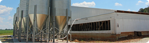 Industry Links — Tosh Farms