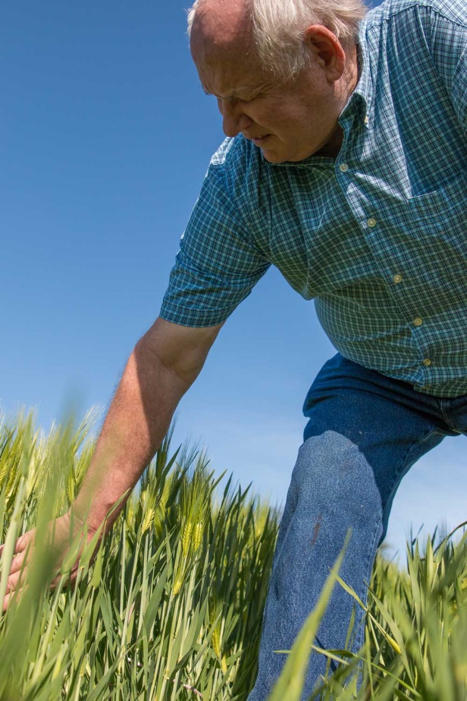 Our Approach — Tosh Farms