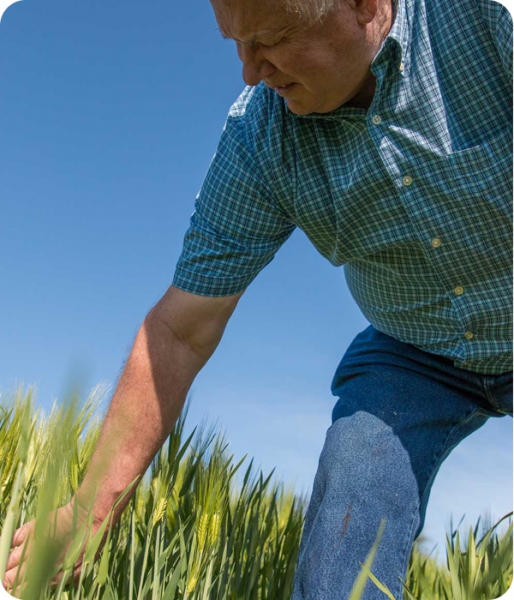 Our Approach — Tosh Farms